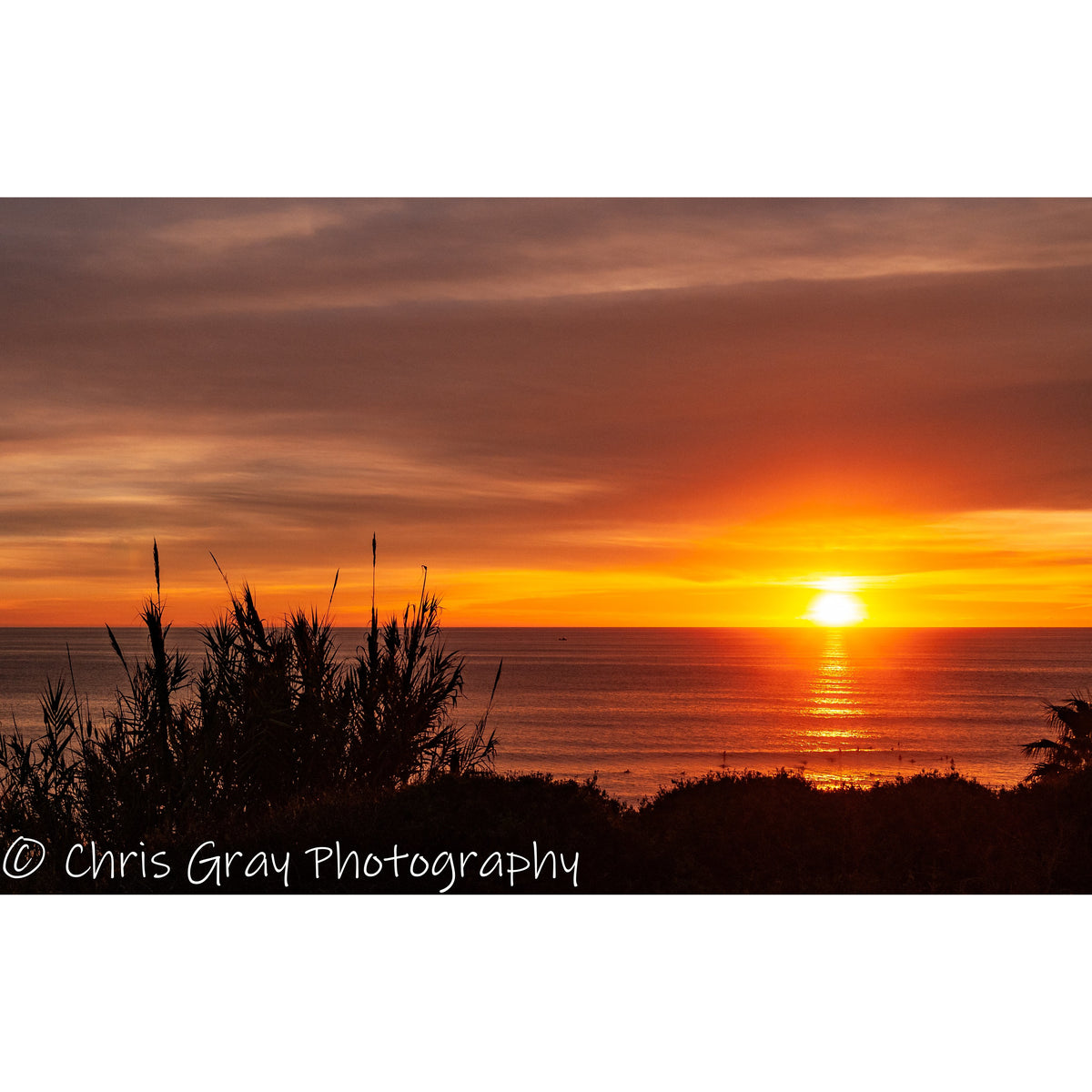 Encinitas Sunset – Chris Gray Photography
